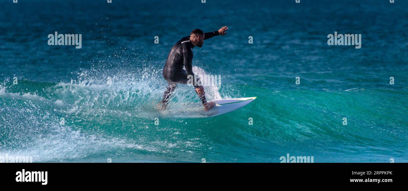 A panoramic image of spectaular surfing action as a male surfer rides a ...