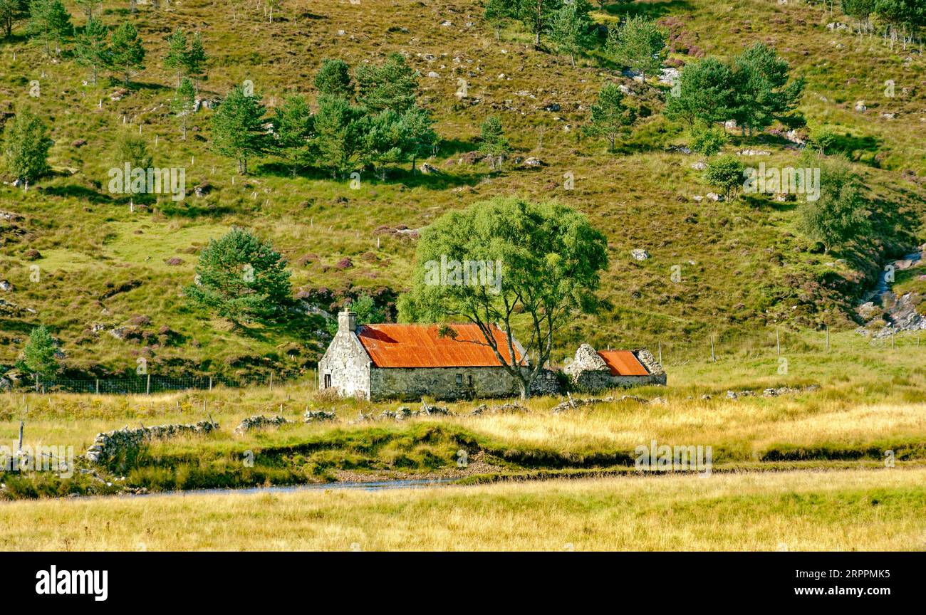 Red tin roof hi-res stock photography and images - Alamy