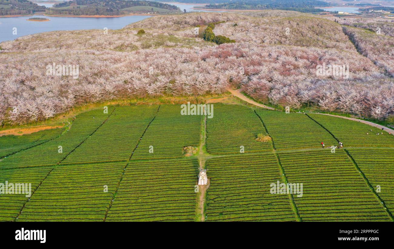 Gui an new district hi-res stock photography and images - Alamy