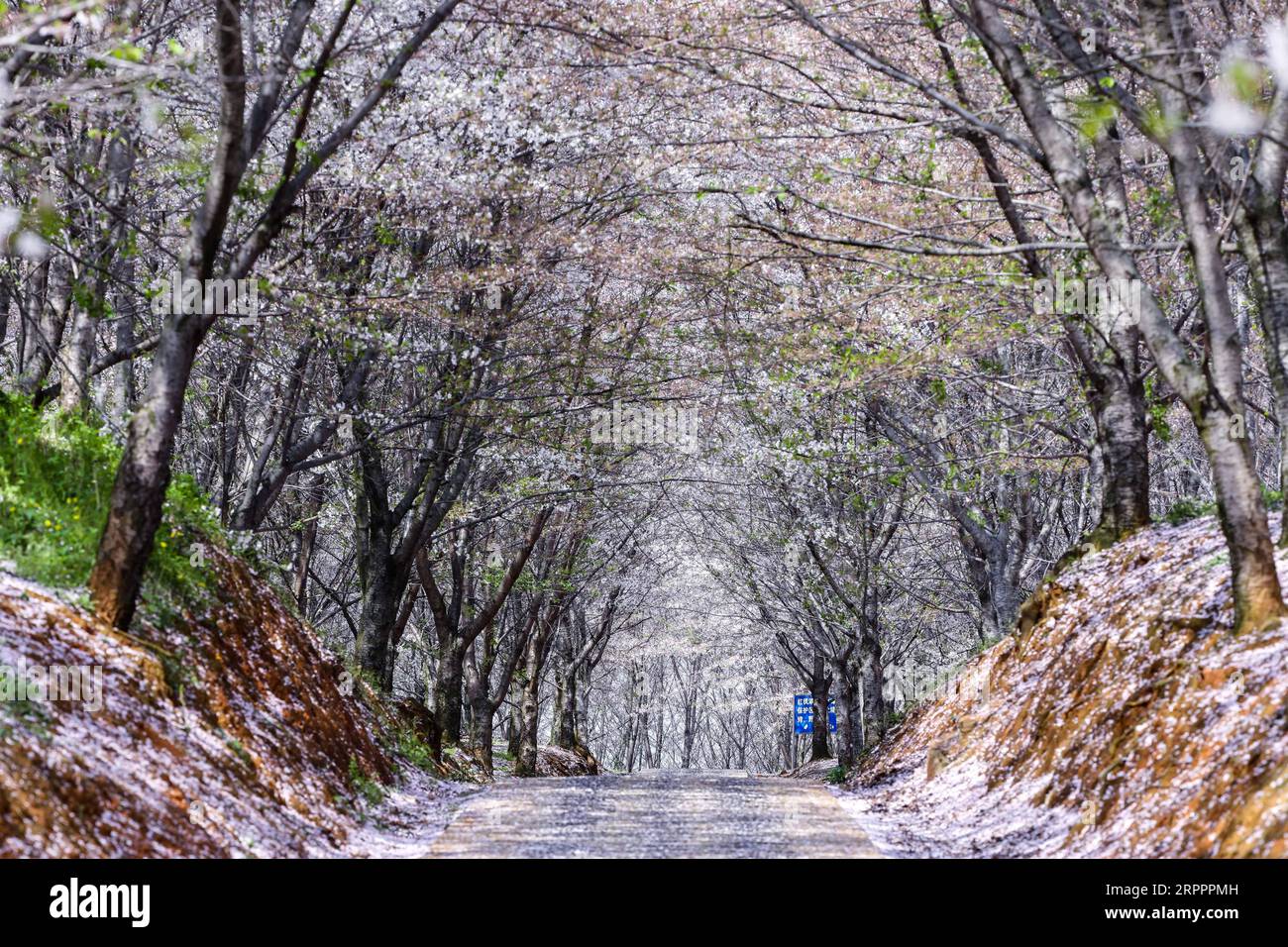 Gui an new district hi-res stock photography and images - Alamy