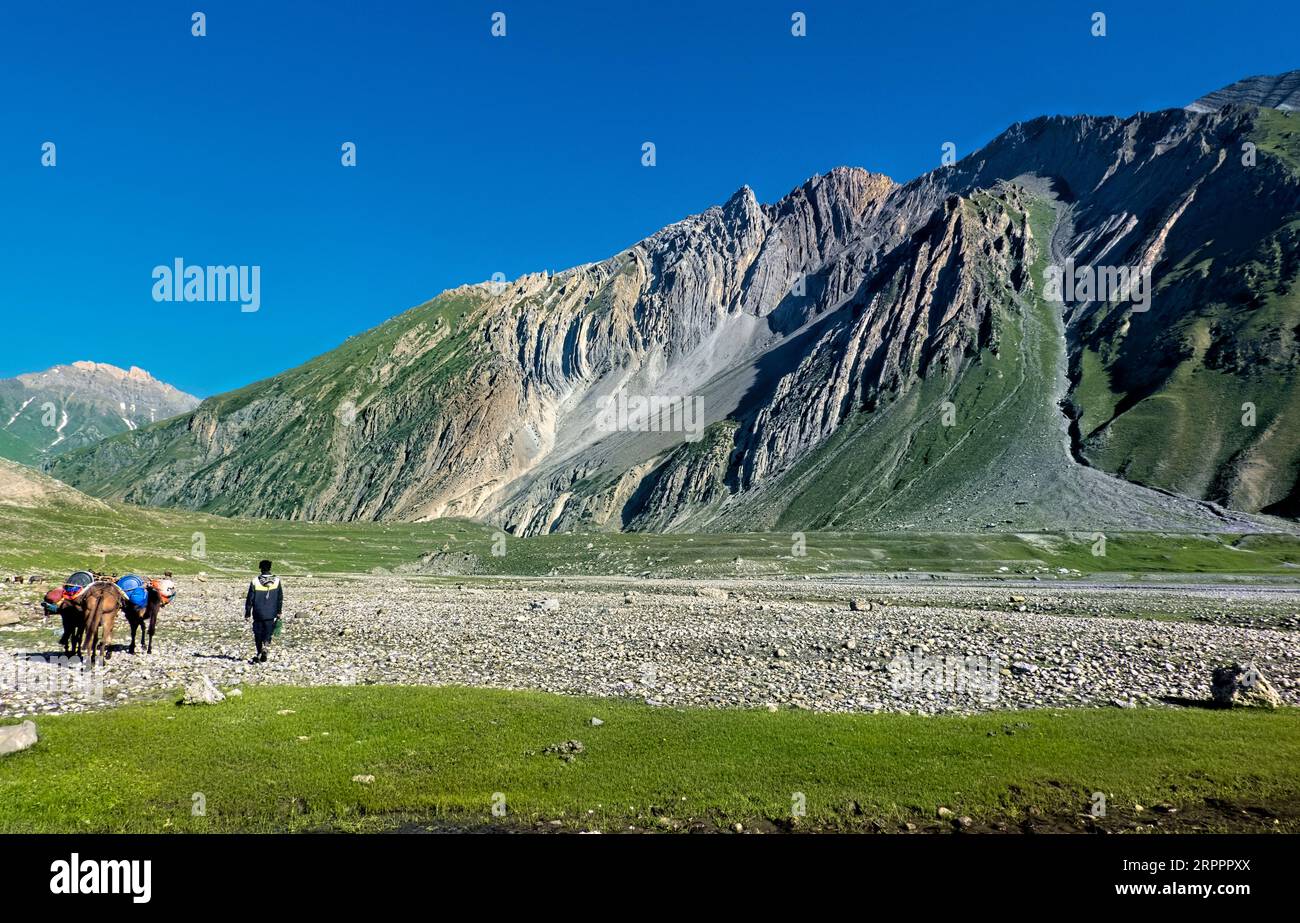 Trekking through the beautiful lush Warwan Valley, Pir Panjal Range ...