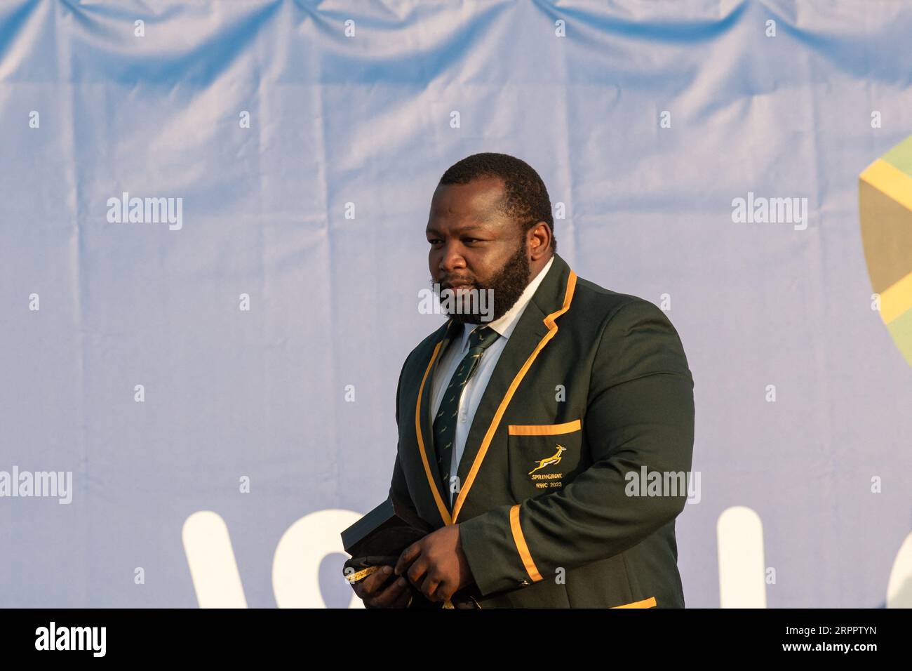 Ox nche springboks hi-res stock photography and images - Alamy