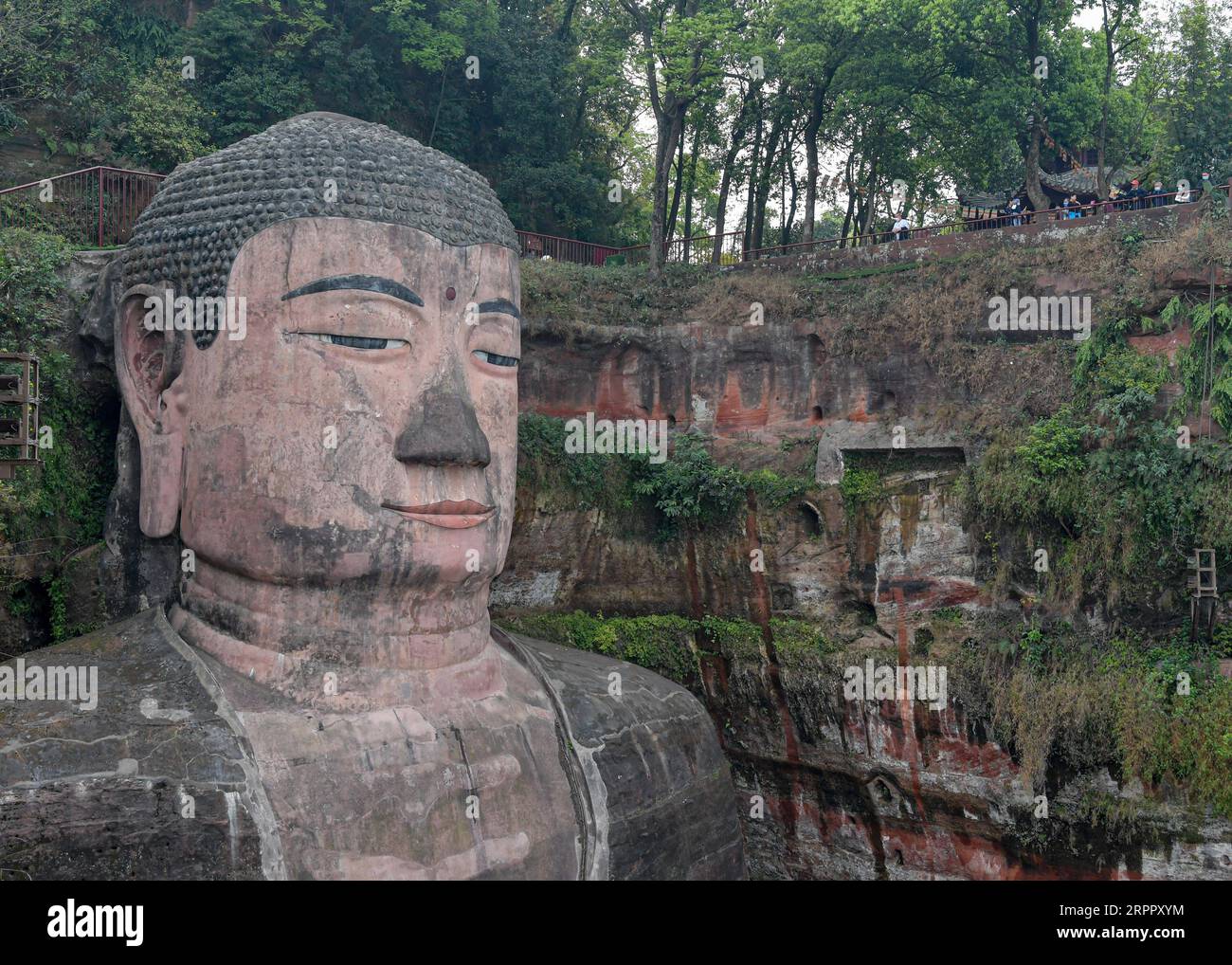 Real reopen hi-res stock photography and images - Alamy