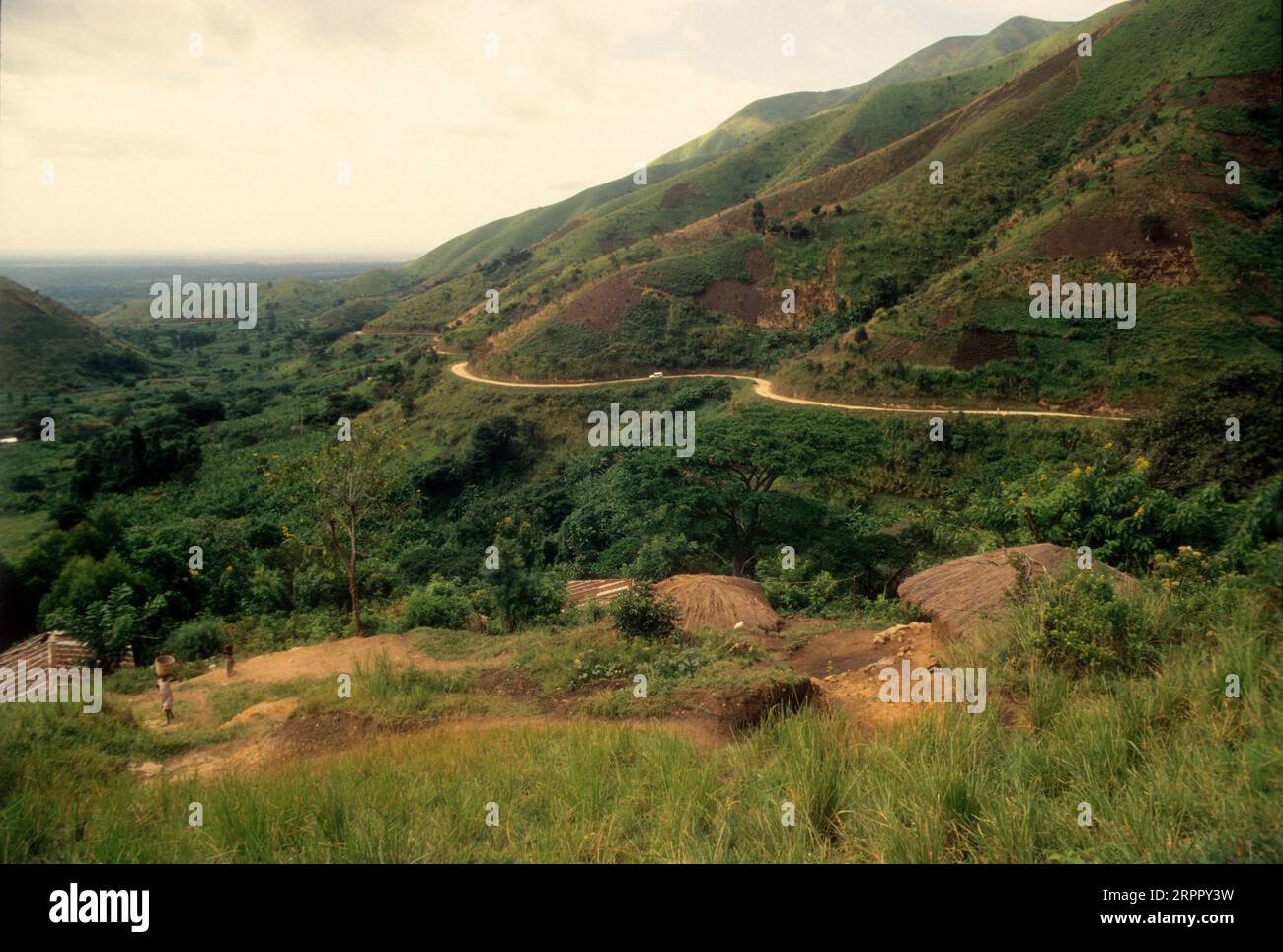 Rwenzori mountains congo hi-res stock photography and images - Alamy