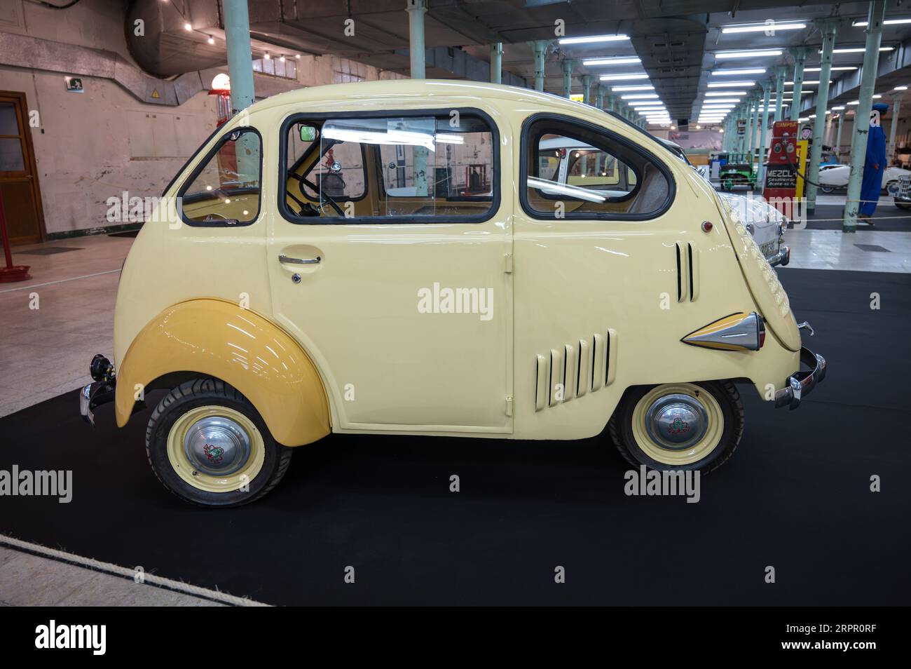 Micro rana hi-res stock photography and images - Alamy