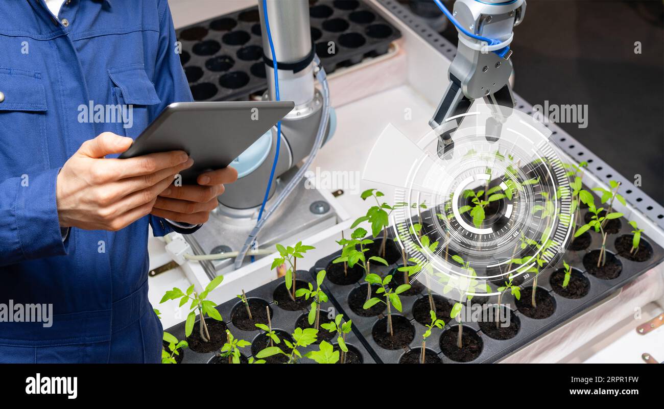 A robot in a greenhouse evaluates the quality of tomato seedlings using ...