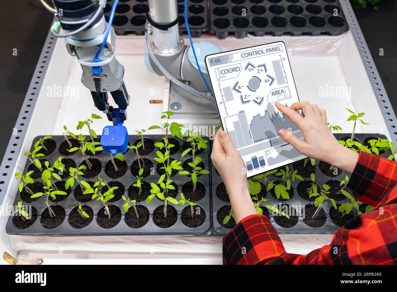 A robot in a greenhouse evaluates the quality of tomato seedlings using ...