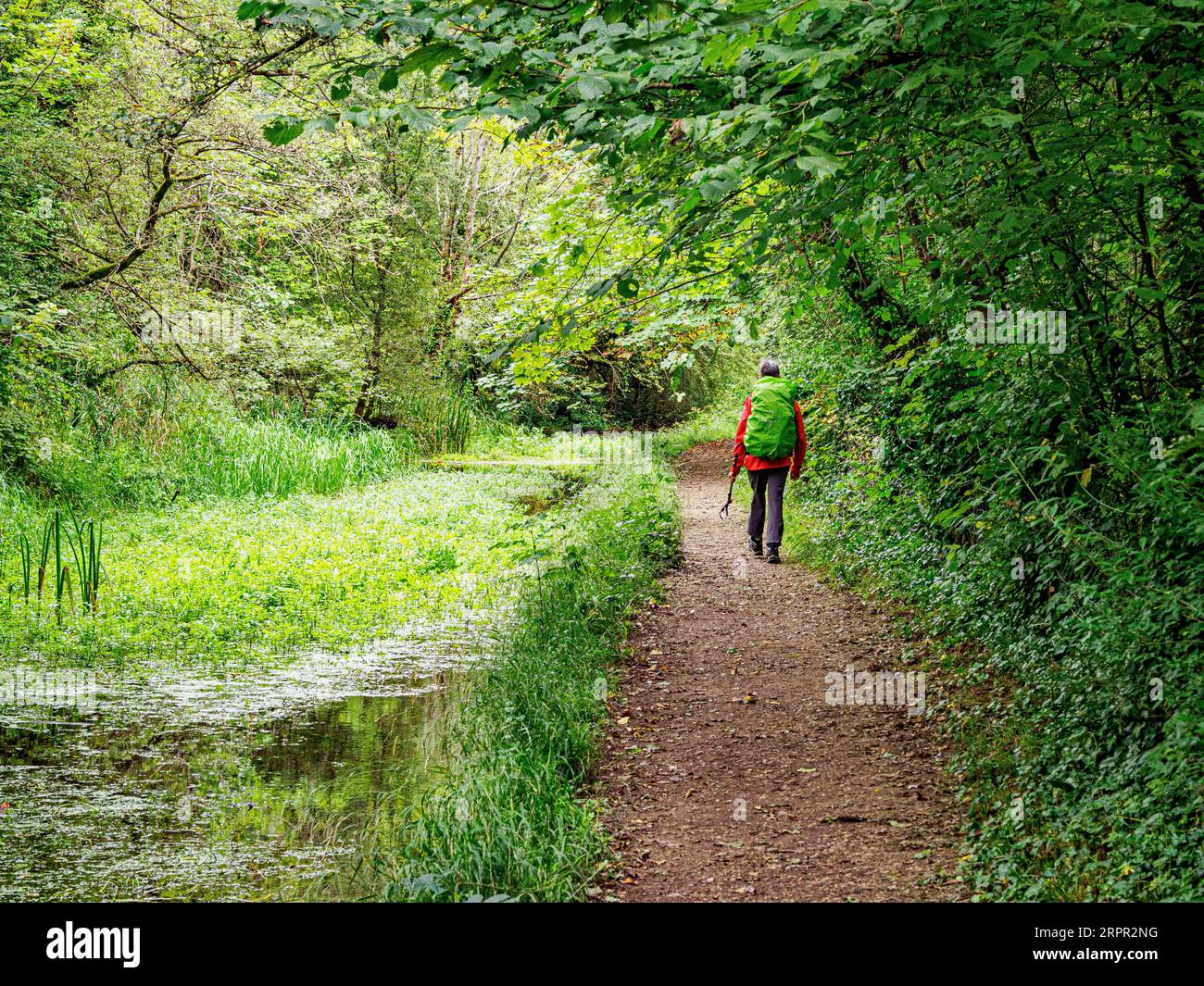 Hike path uk shade hi-res stock photography and images - Alamy