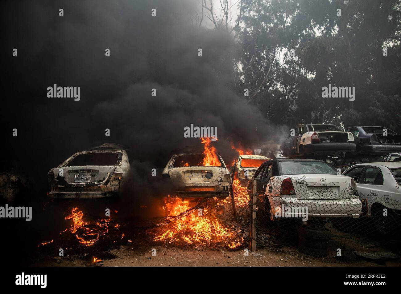 Libyan national army hi-res stock photography and images - Alamy