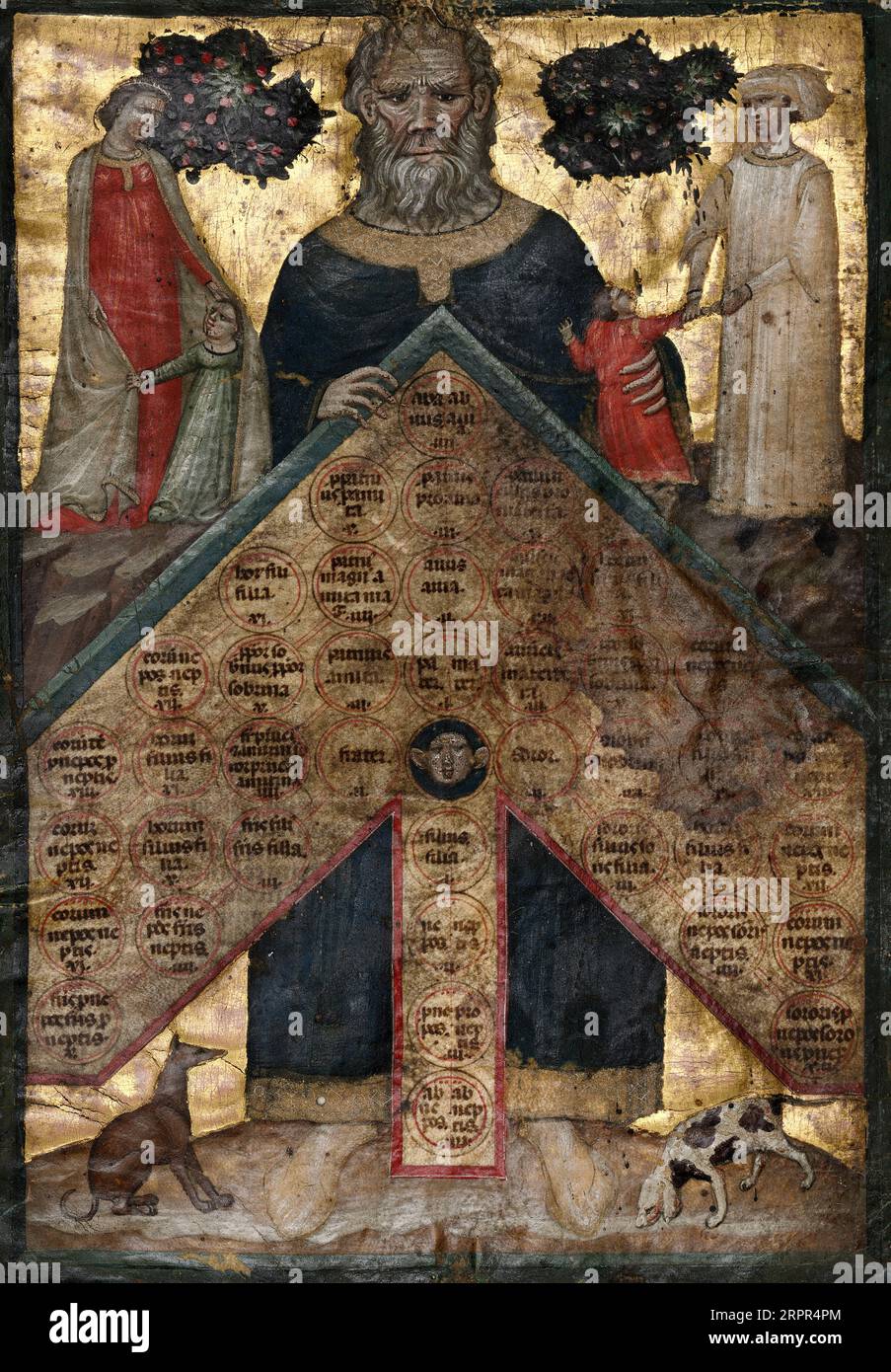 Table of consanguinity hi-res stock photography and images - Alamy