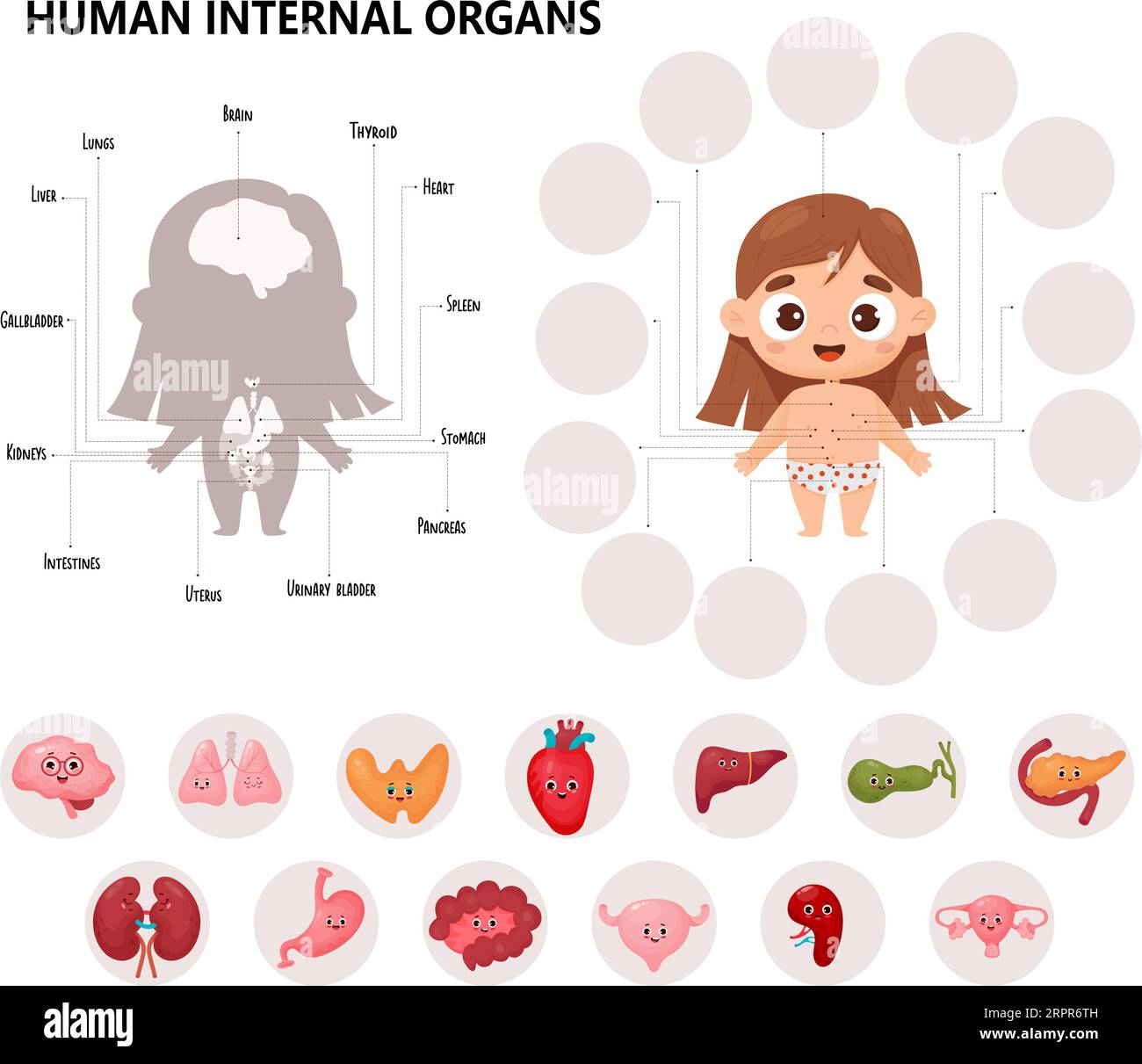 Anatomy human body. Kids cartoon medical infographics. Cute girl and ...