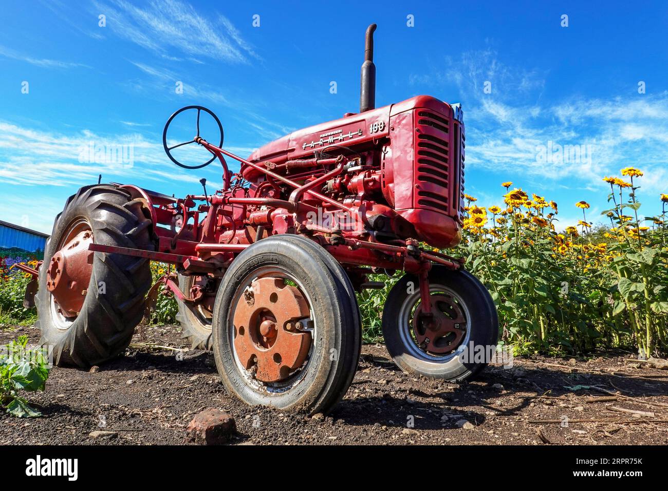Tillamook, Oregon, USA - September 12, 2019: Old Farmall 100 tractor ...