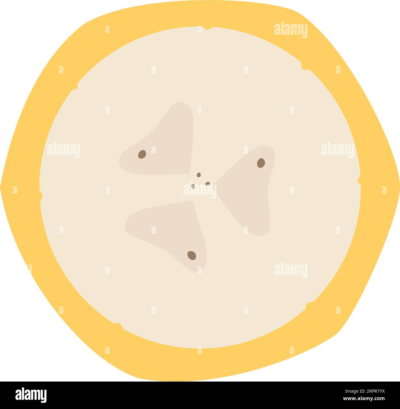 Cross section slice banana hi-res stock photography and images - Alamy