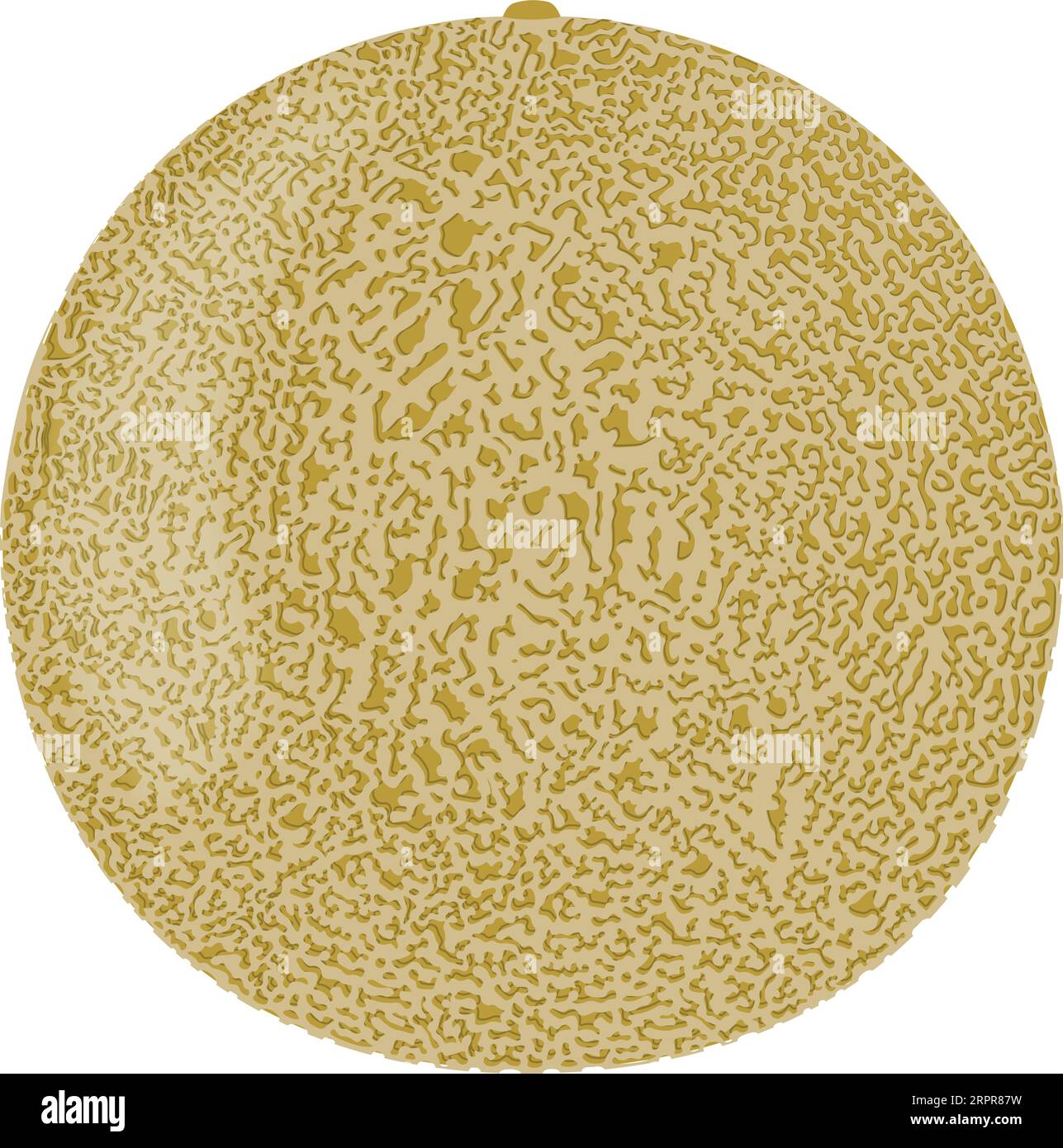 Single Whole Cantaloupe Melon Stock Vector Image & Art - Alamy