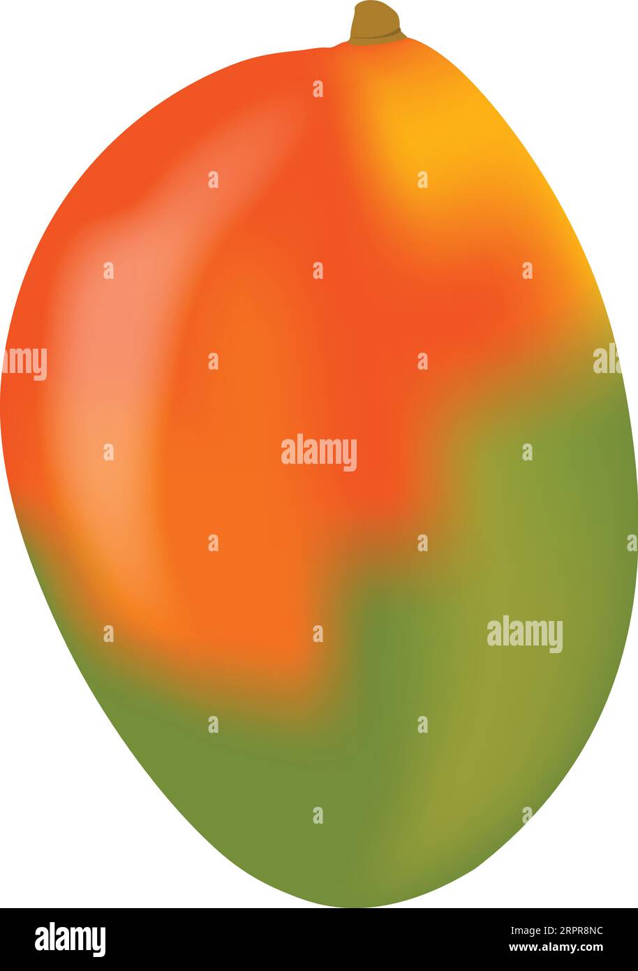 Mango with stalk Stock Vector Images - Alamy