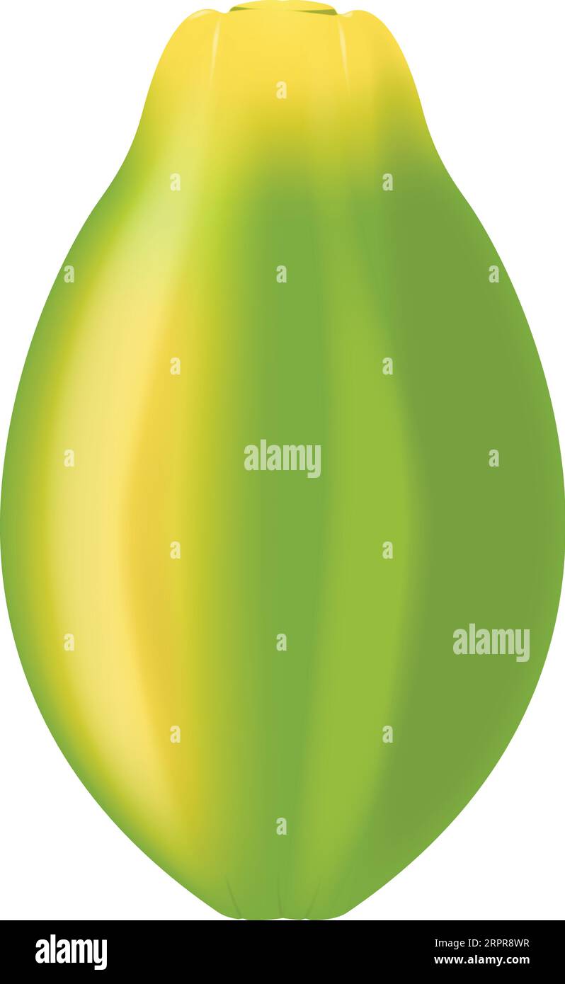 Papaya papaw pawpaw fruit Stock Vector Images - Alamy
