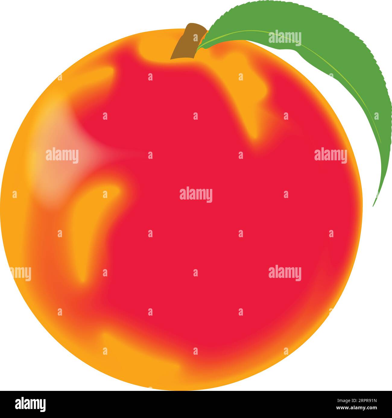 Persica vector vectors hi-res stock photography and images - Alamy