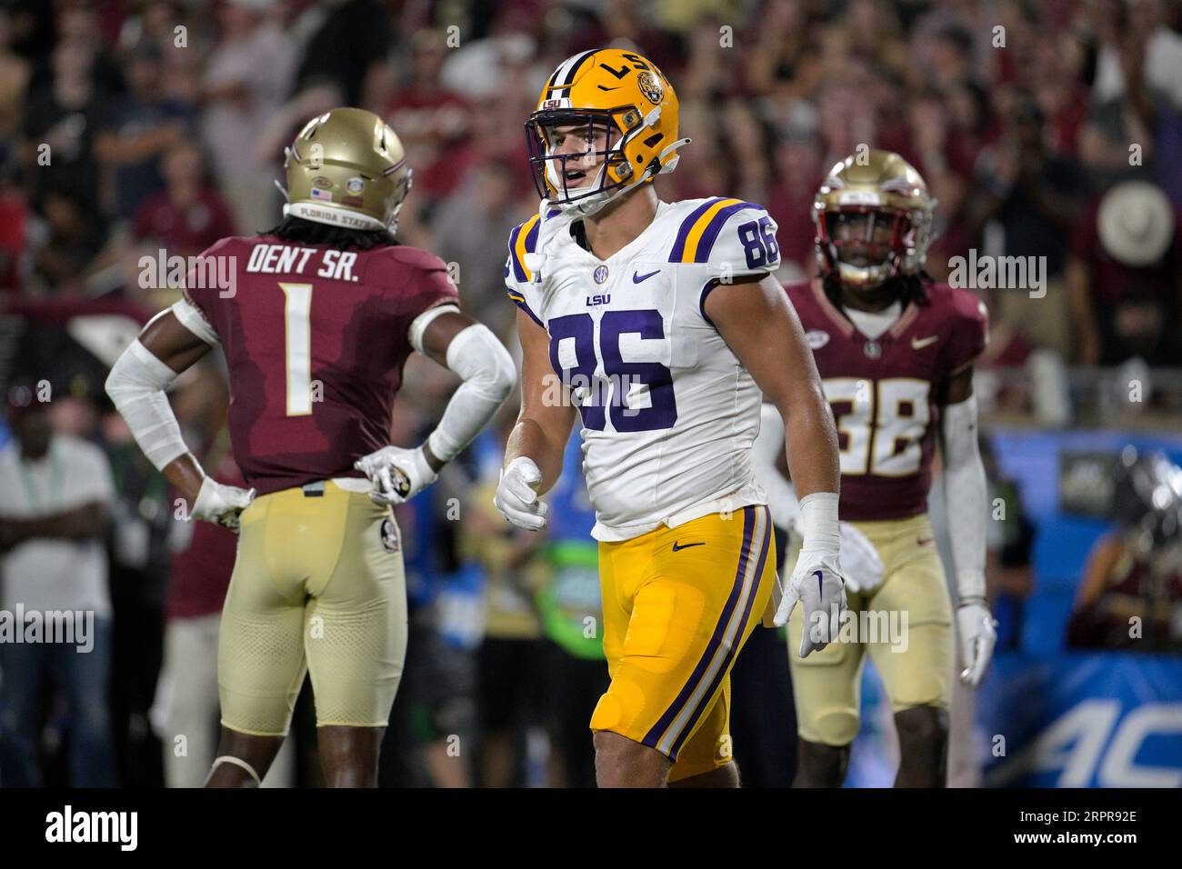 LSU tight end Mason Taylor (86) heads to the sideline after a touchdown ...