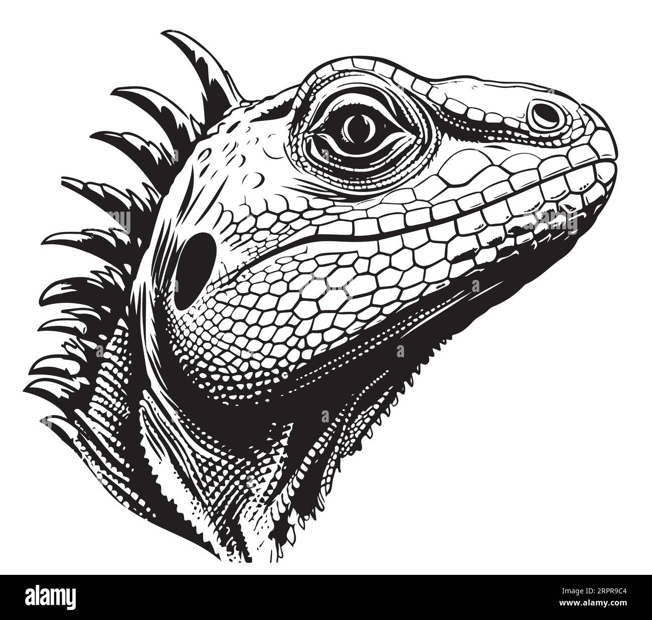 Lizard hand illustration hi-res stock photography and images - Alamy