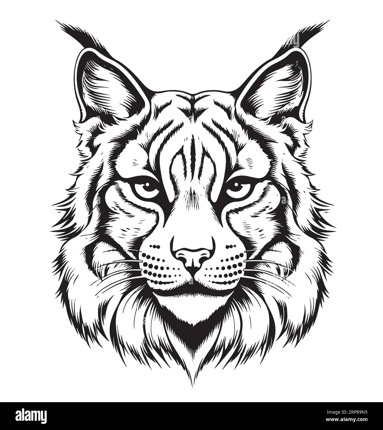 Cute Lynx face hand drawn sketch Vector Stock Vector Image & Art - Alamy