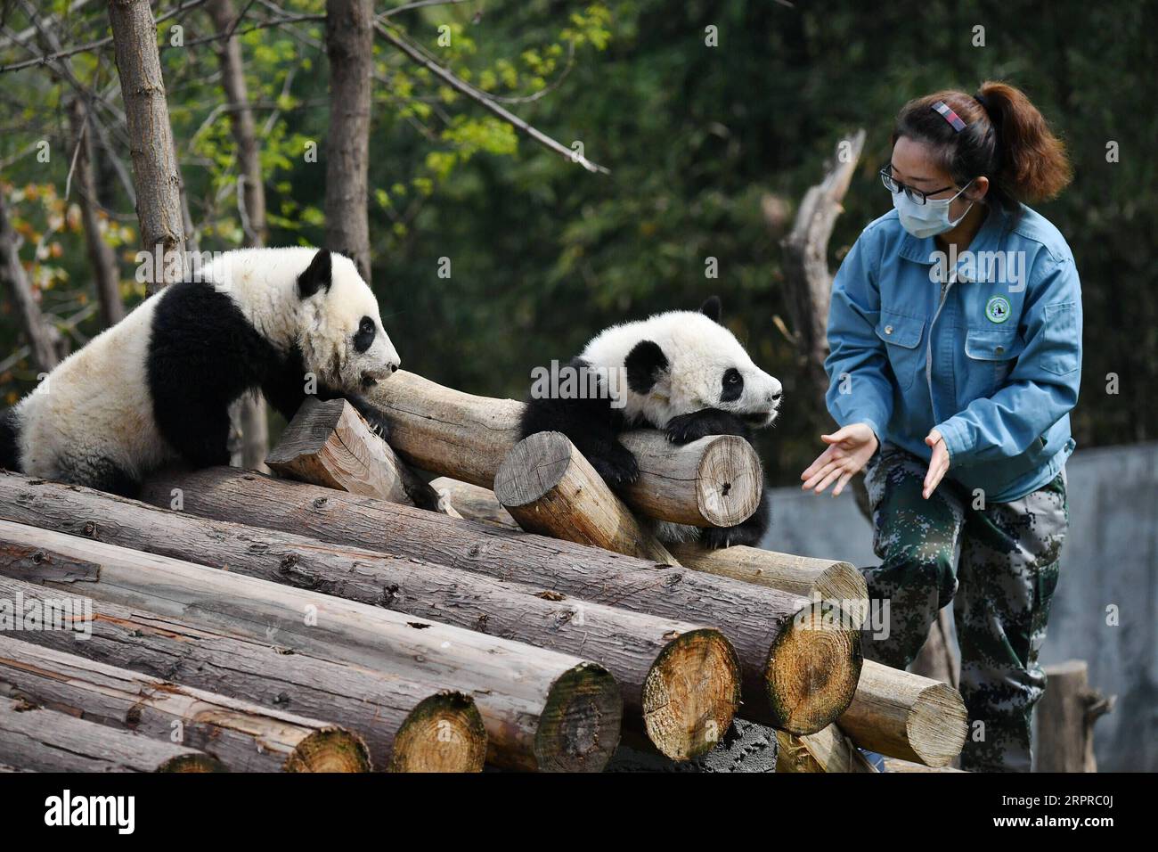 200331 -- XI AN, March 31, 2020 -- A member of staff interacts with ...