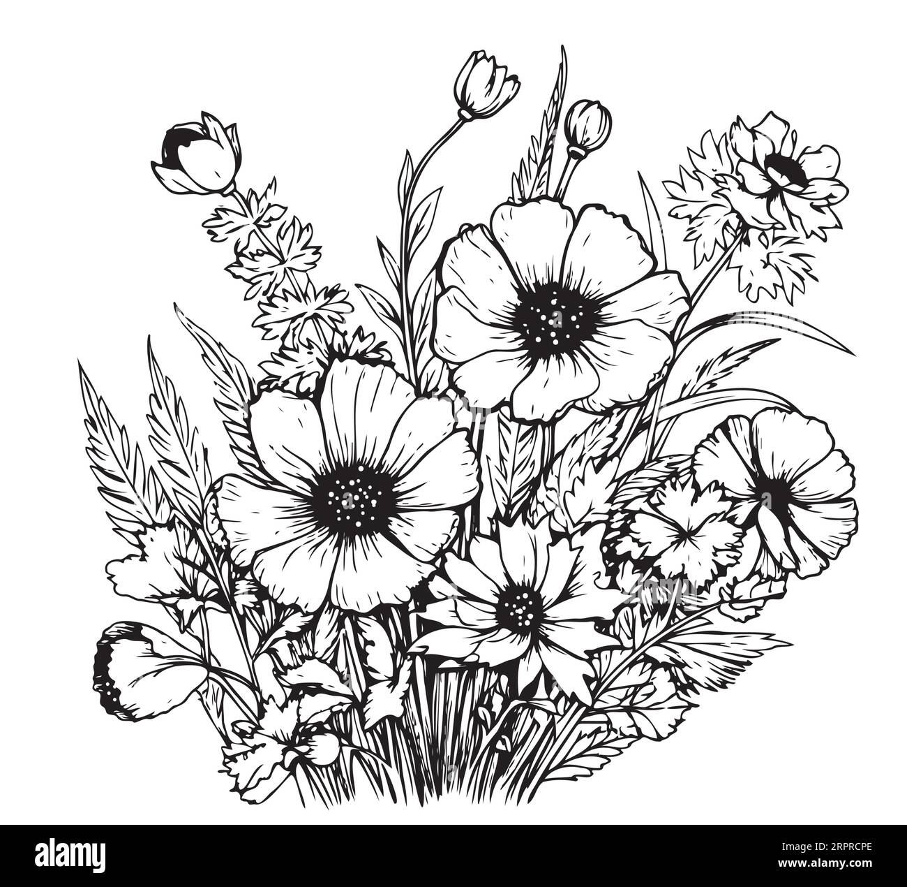 Wild Flowers Sketch Hand Drawn Sketch Vector Stock Vector Image And Art Alamy