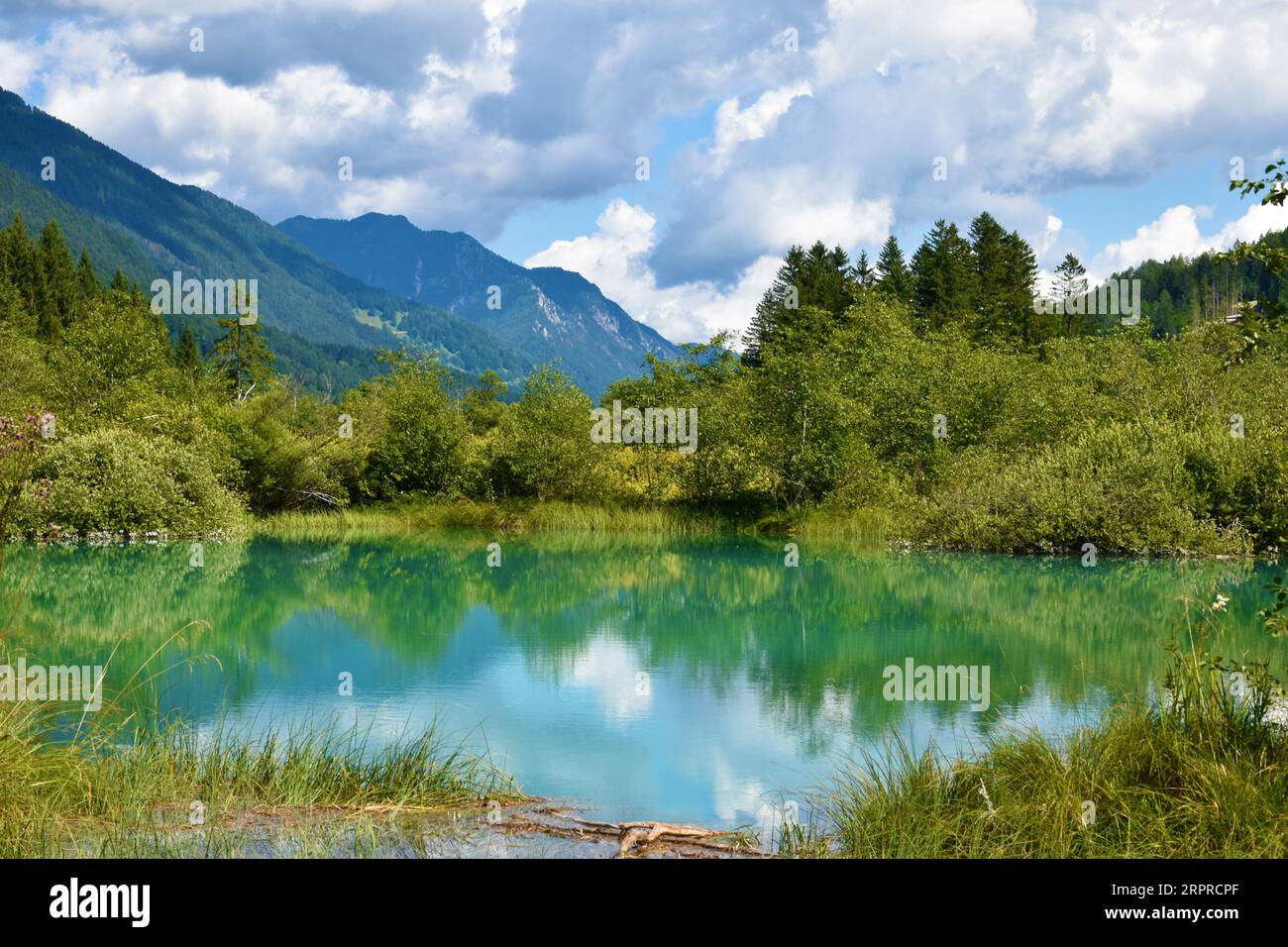 Lake with a reflection in the water at Zelenci, the spring of Sava ...