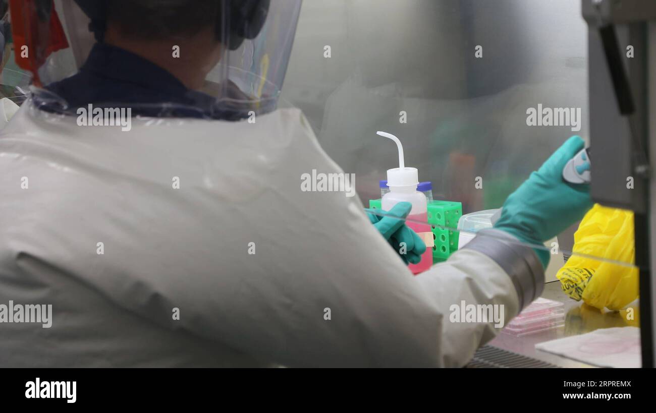 Australian animal health laboratory hi-res stock photography and images ...