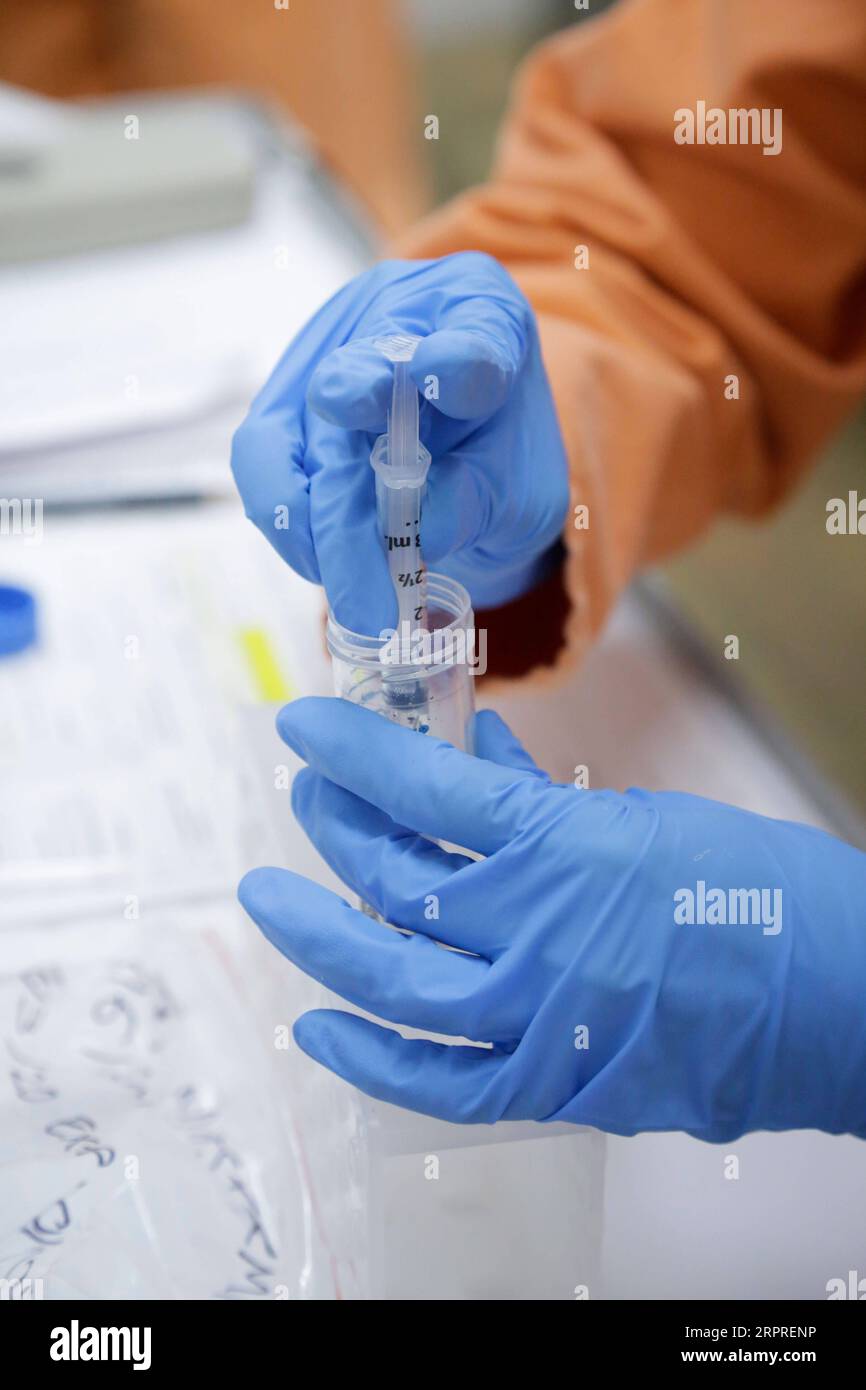 Australian animal health laboratory hi-res stock photography and images ...