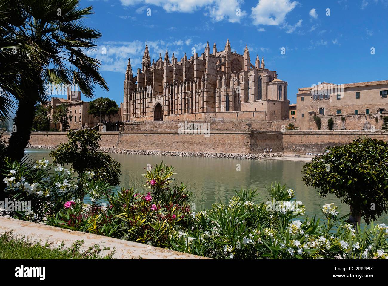 Spain, Balearic Islands, Majorca, Palma de Mallorca, Old Town. La Seu ...