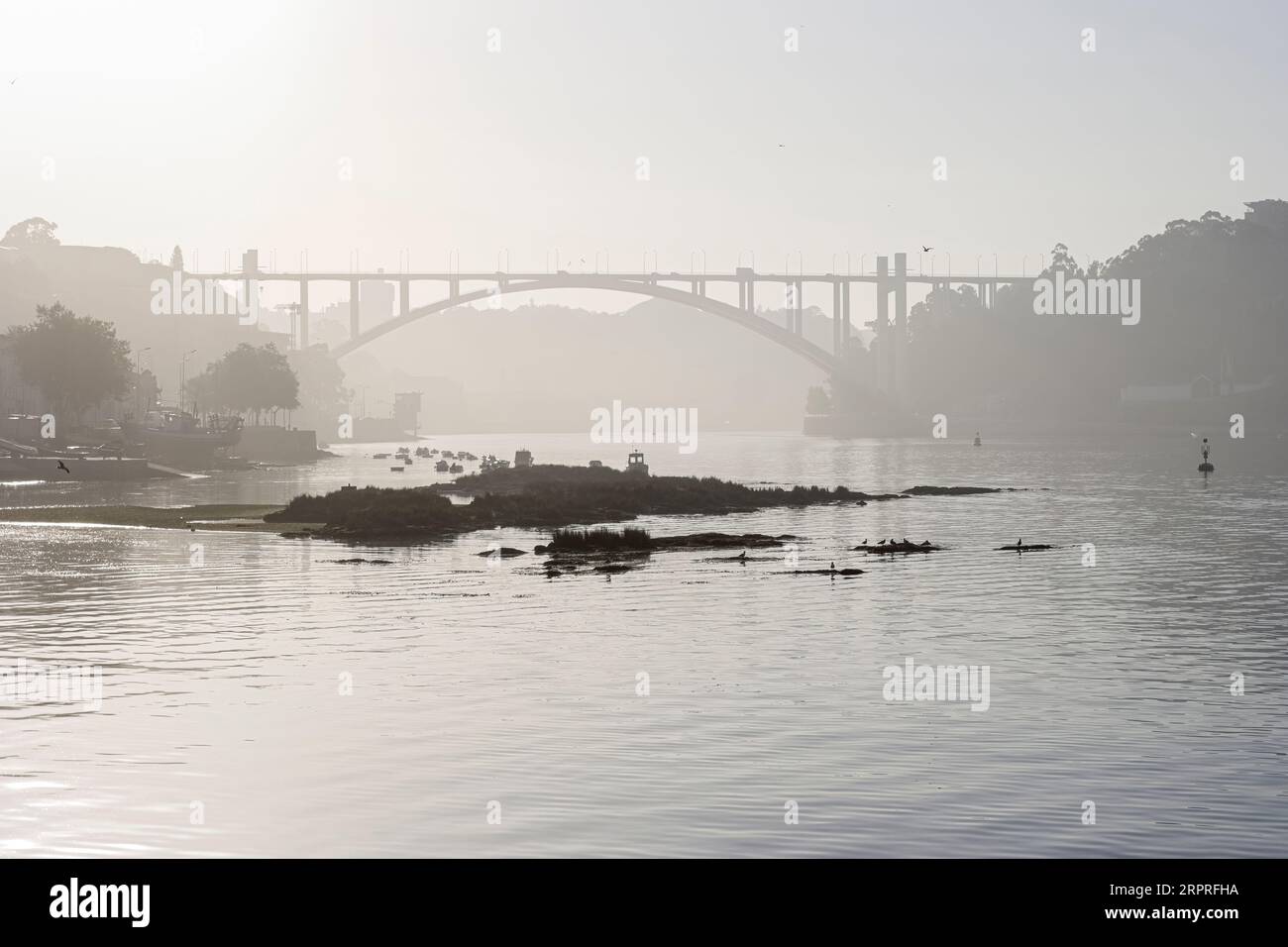 Iconic Arrabida bridge over Douro river, Porti, in a foggy morning ...