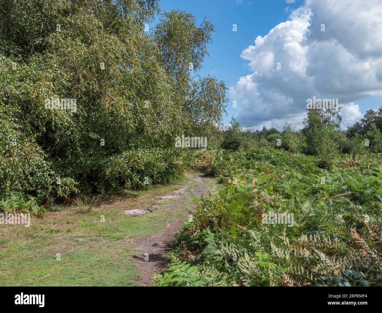 Chailey common hi-res stock photography and images - Alamy