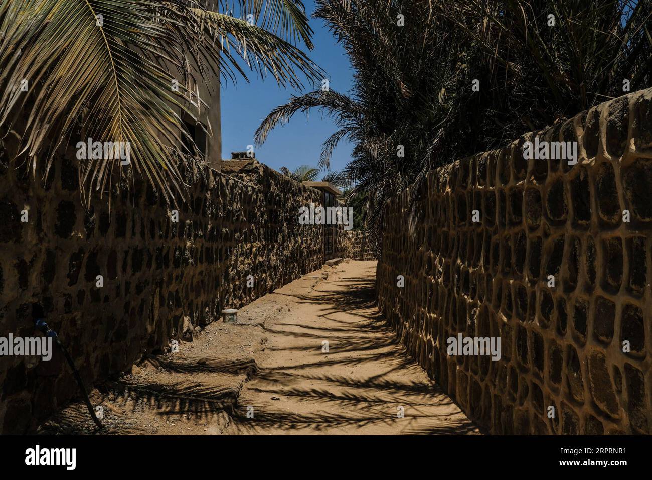 Senegal covid 19 state hi-res stock photography and images - Alamy