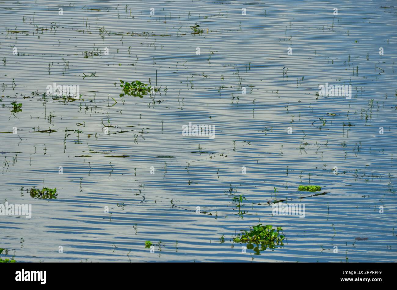 Reflections texture hi-res stock photography and images - Alamy