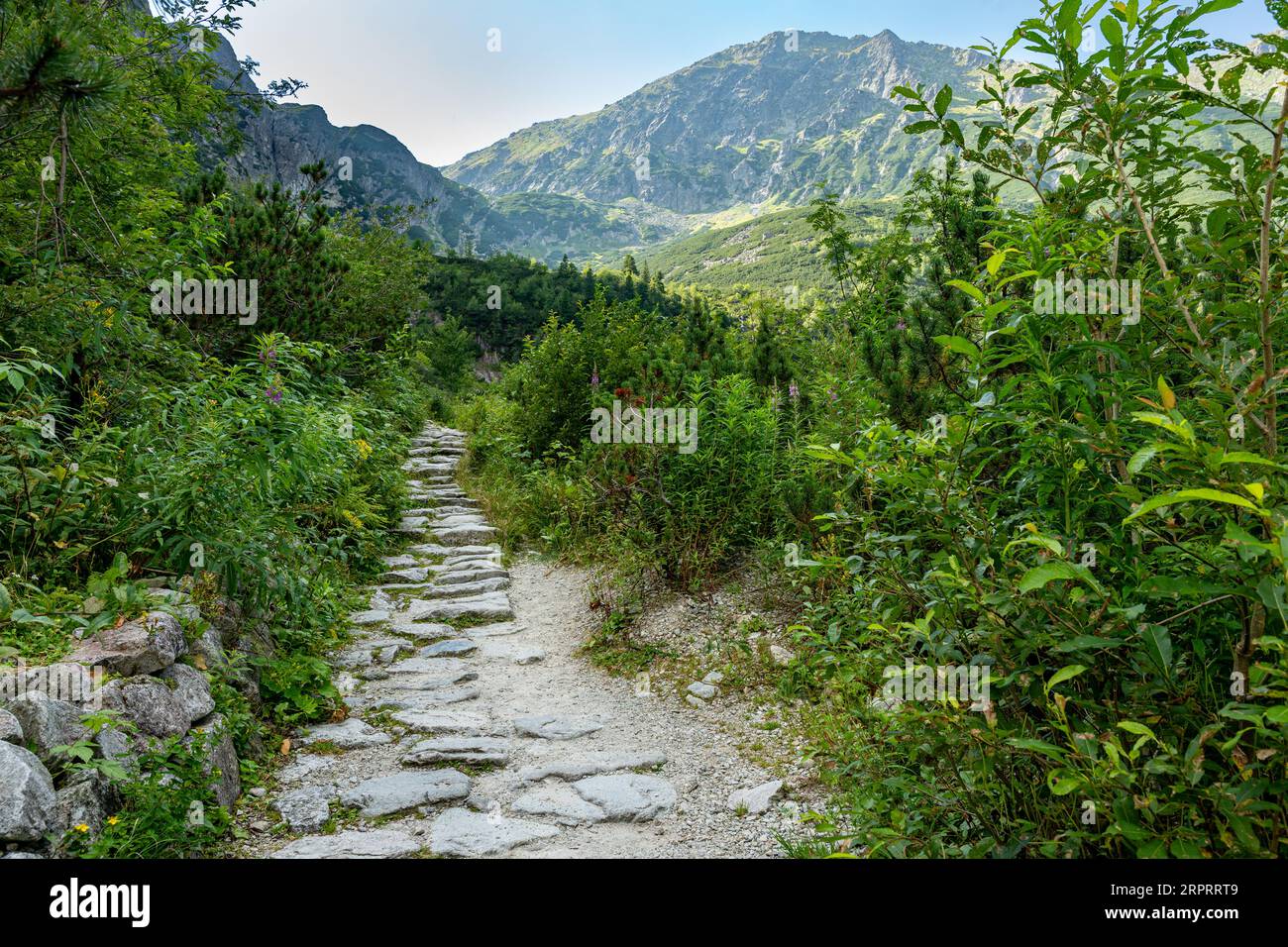 Hiking trail path in hi-res stock photography and images - Alamy