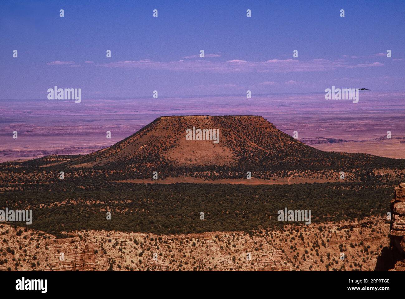 A scenic landscape featuring a majestic mountain situated on a desert ...