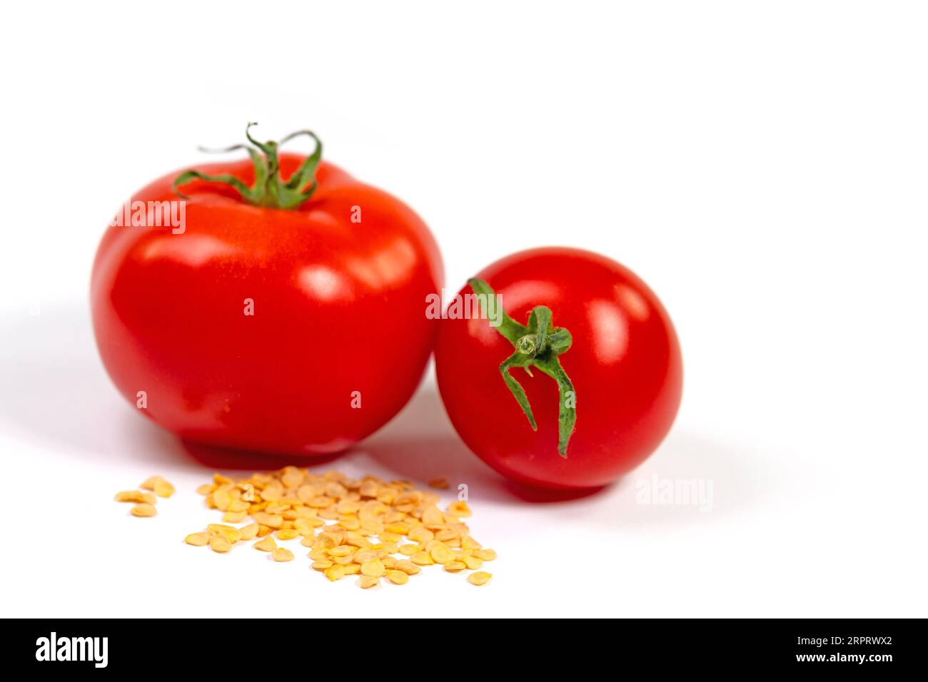 Tomato seeds hi-res stock photography and images - Alamy