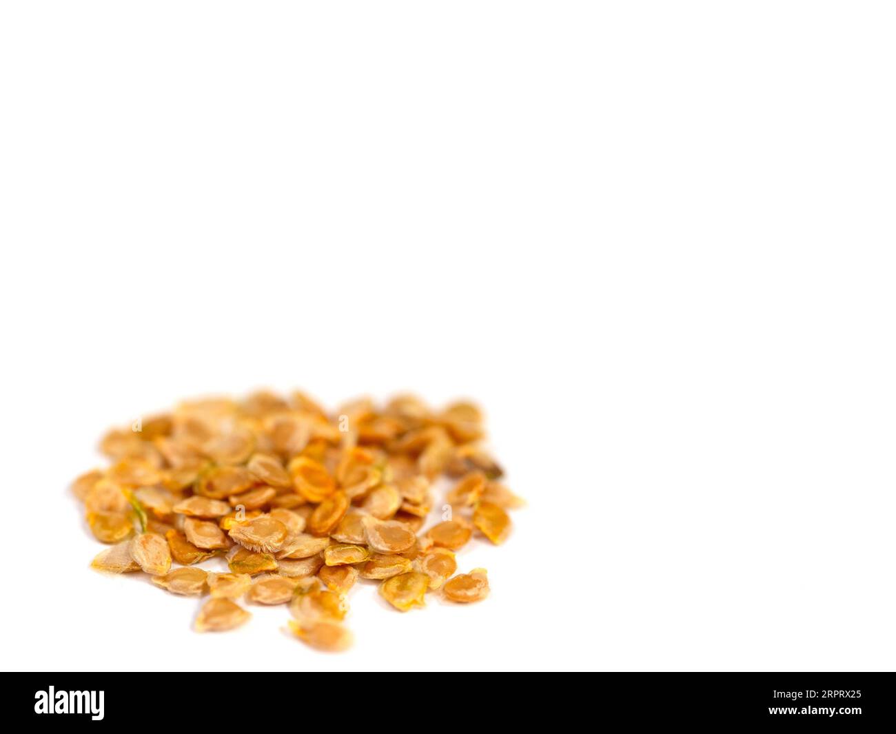 Tomato seeds hi-res stock photography and images - Alamy