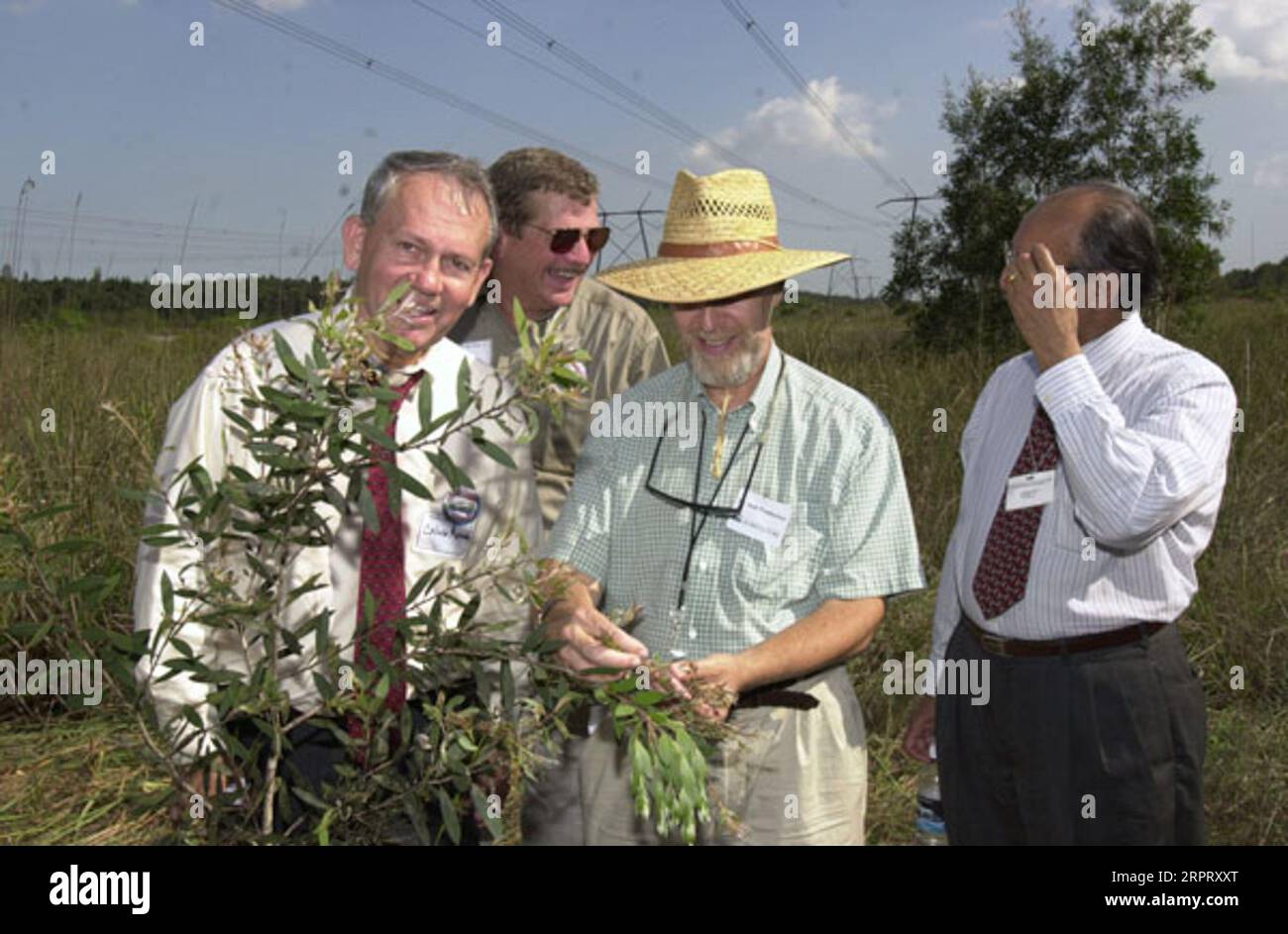 Invasive species everglades hi-res stock photography and images - Alamy