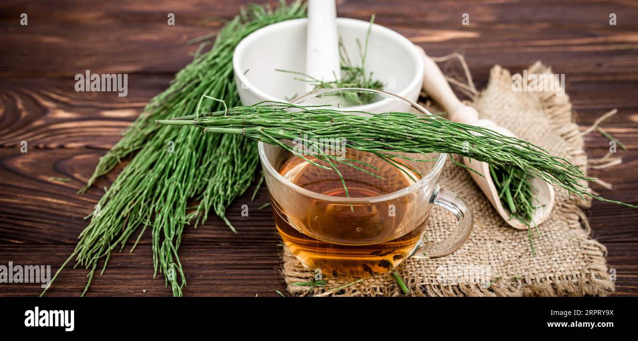 cup of tea from horsetail, made from fresh potion, from pharmacy mortar ...