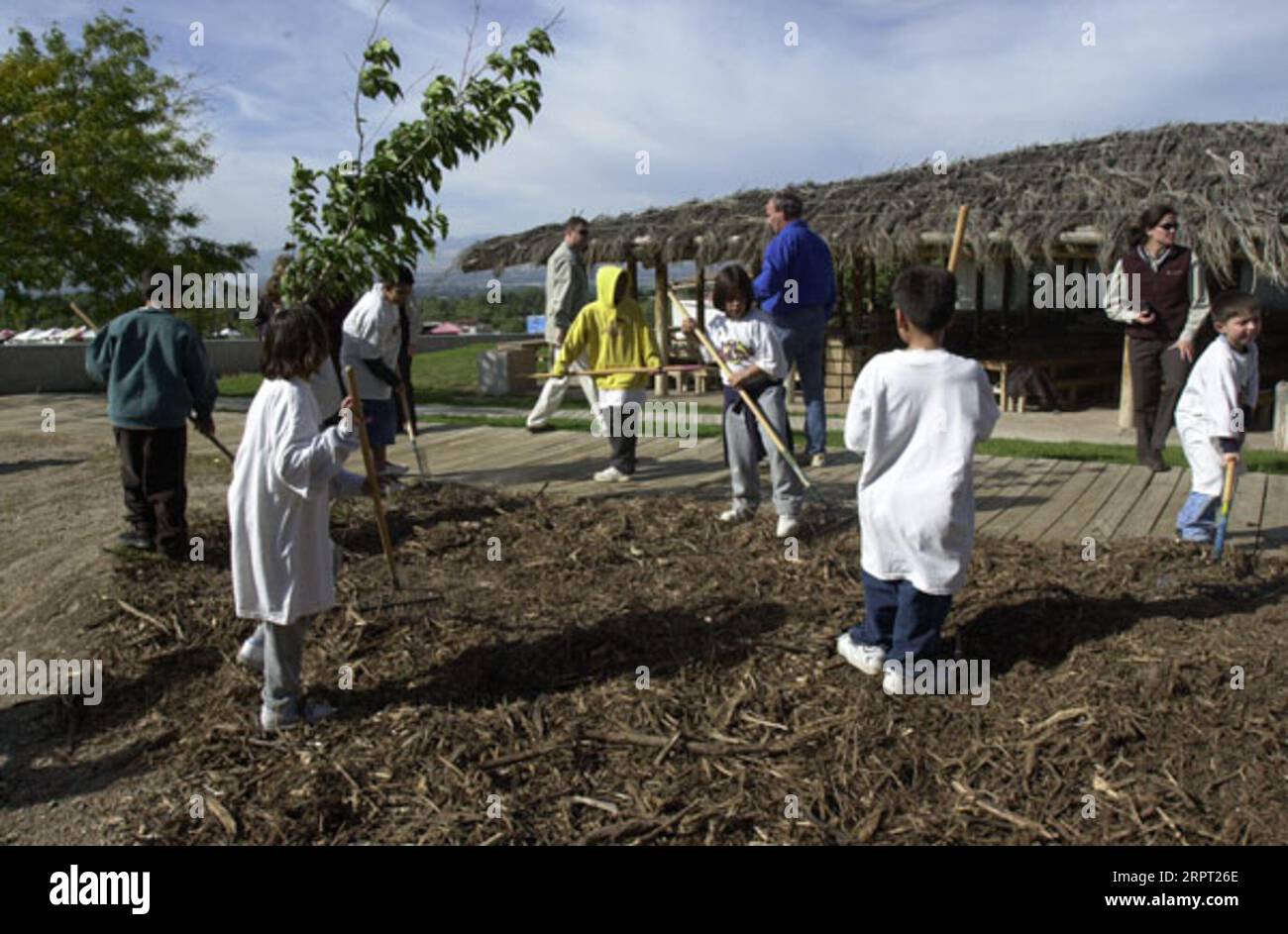 Conservation volunteers at work, as part of activities marking National ...