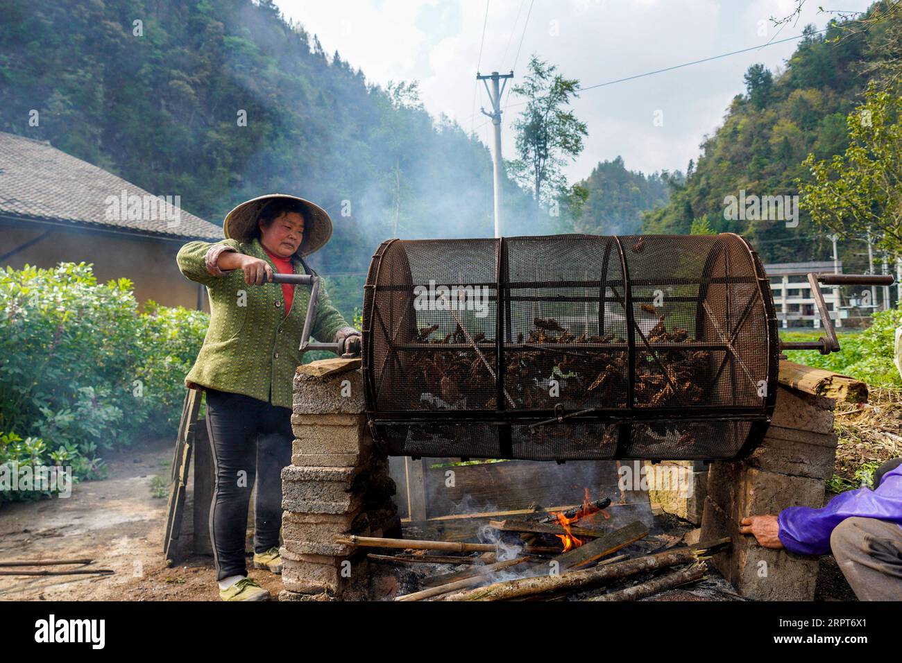 200412 -- CHONGQING, April 12, 2020 -- Villager Chen Weirun processes ...