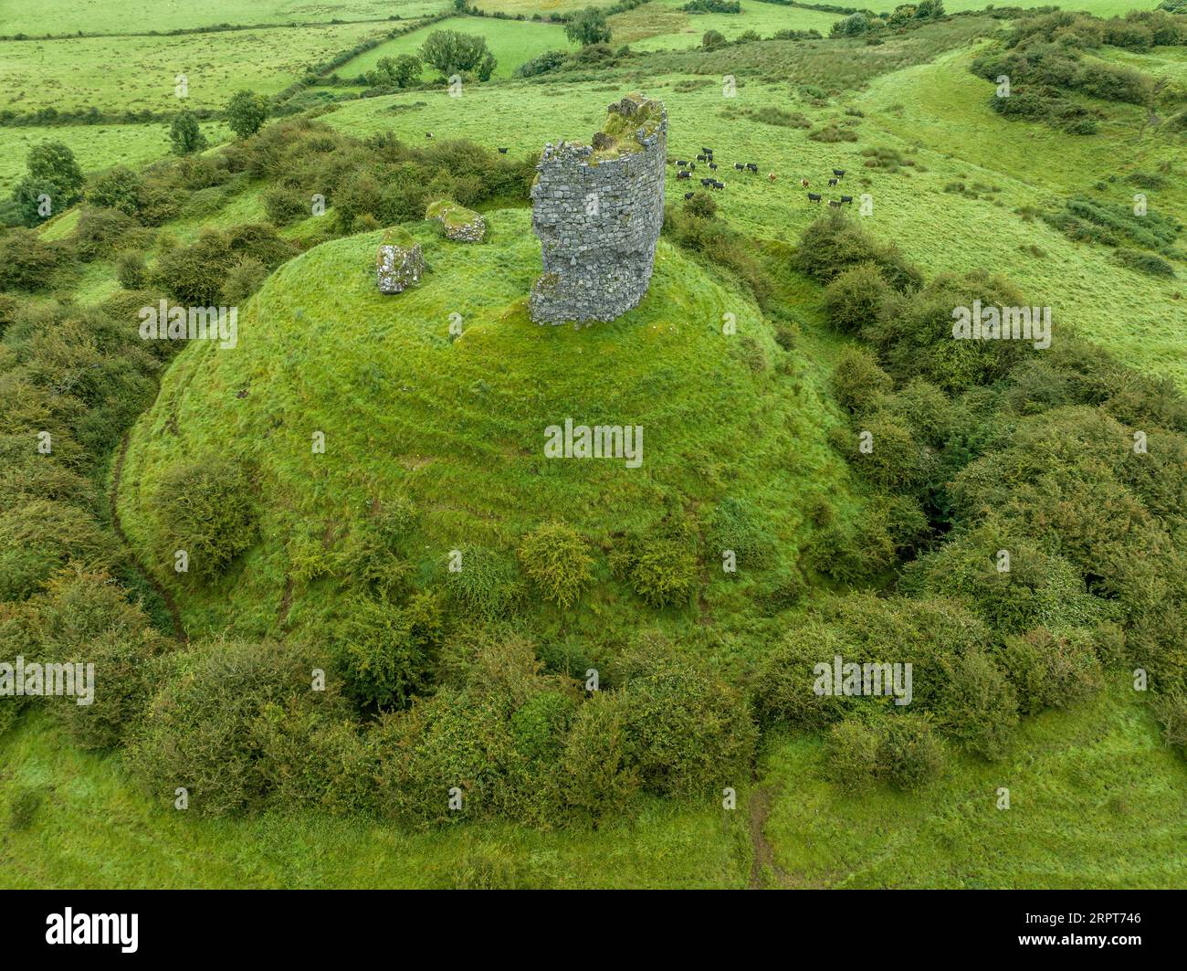 Aerial view ruins of Shanid castle in County Limerick important Anglo ...