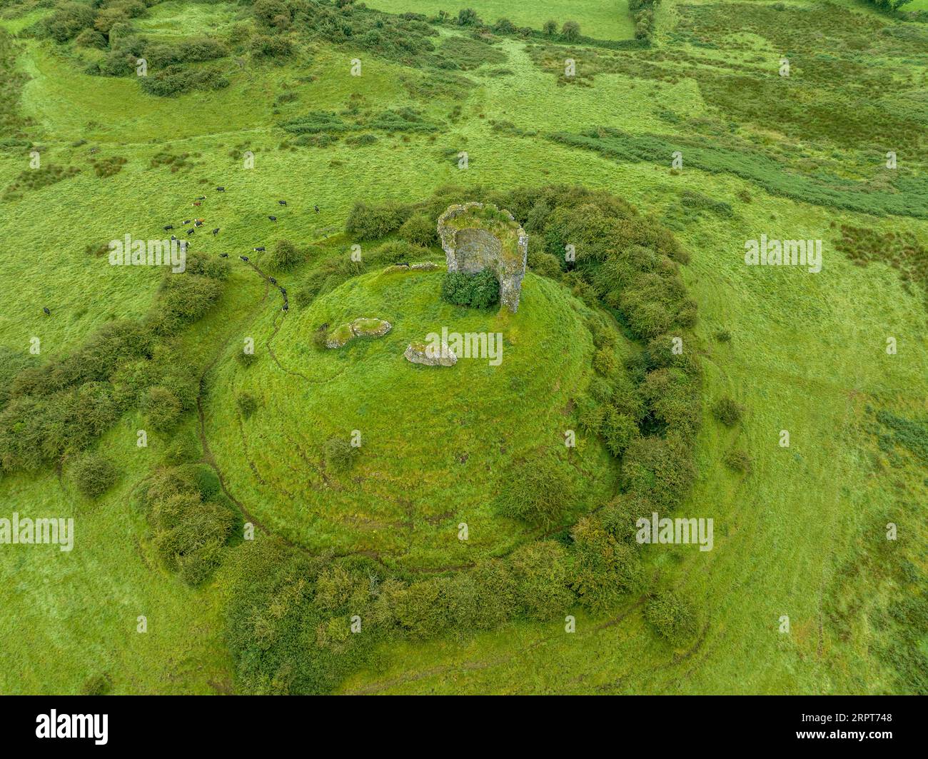 Aerial view ruins of Shanid castle in County Limerick important Anglo ...