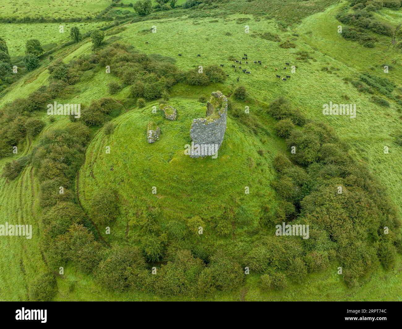 Irish heritage and history hi-res stock photography and images - Alamy