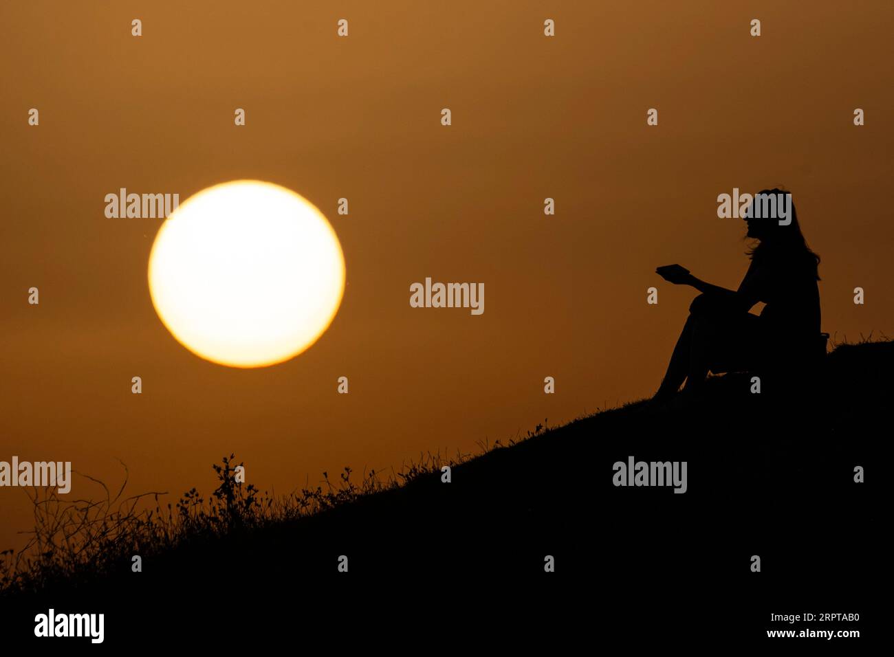 Mini mounds hi-res stock photography and images - Alamy
