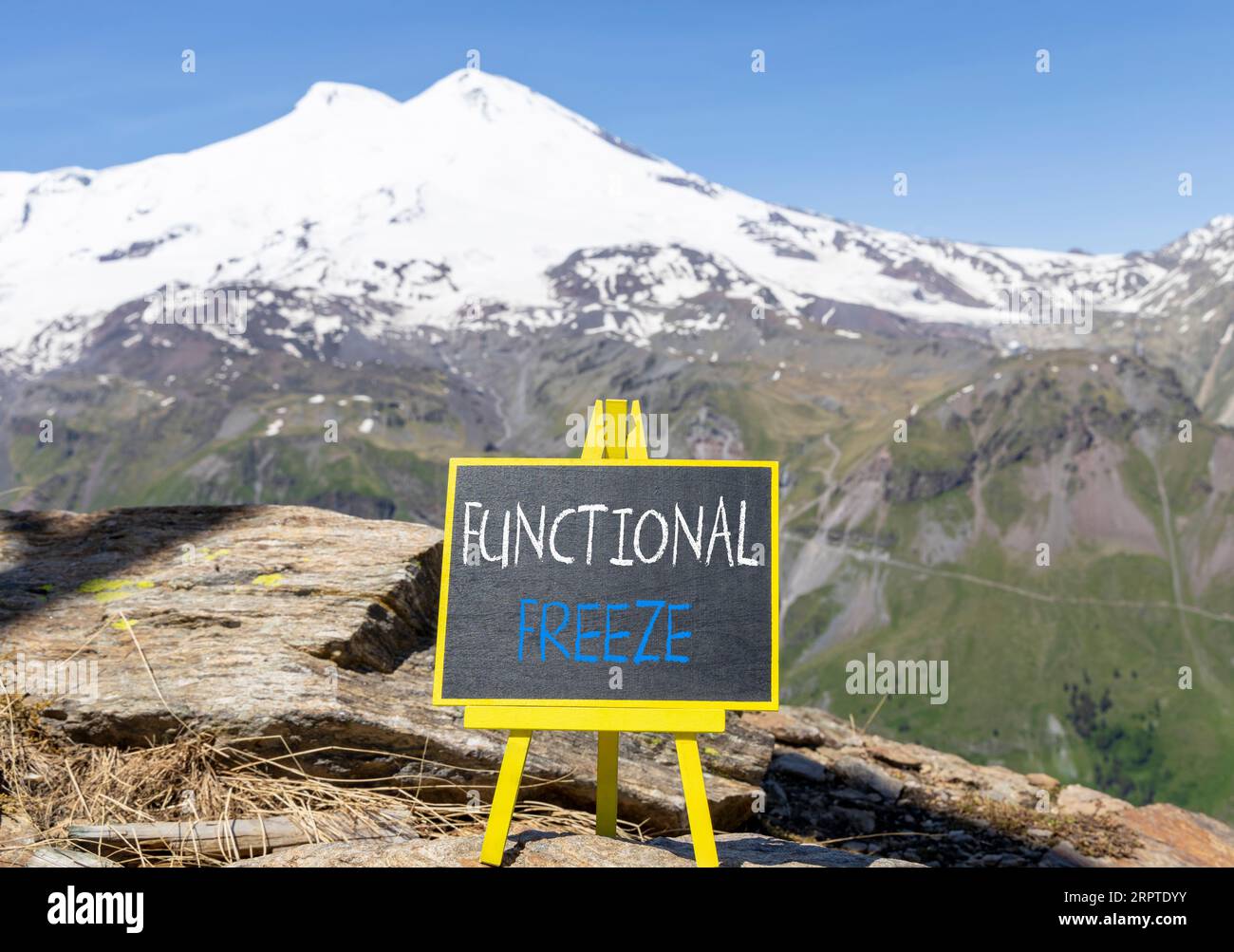 Functional freeze symbol. Concept words Functional freeze on beautiful ...