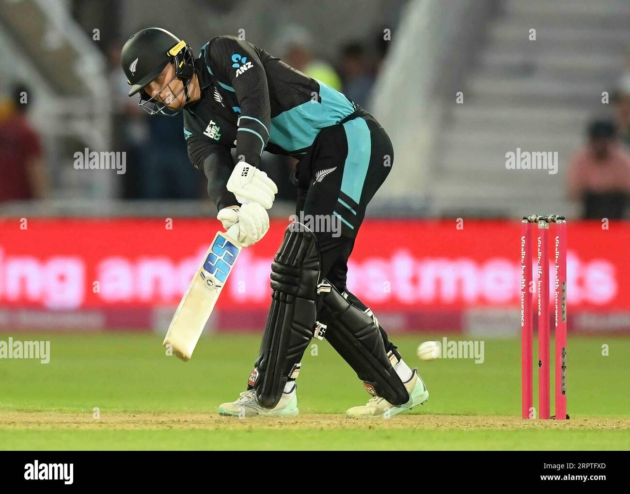 Finn allen new zealand hi-res stock photography and images - Alamy