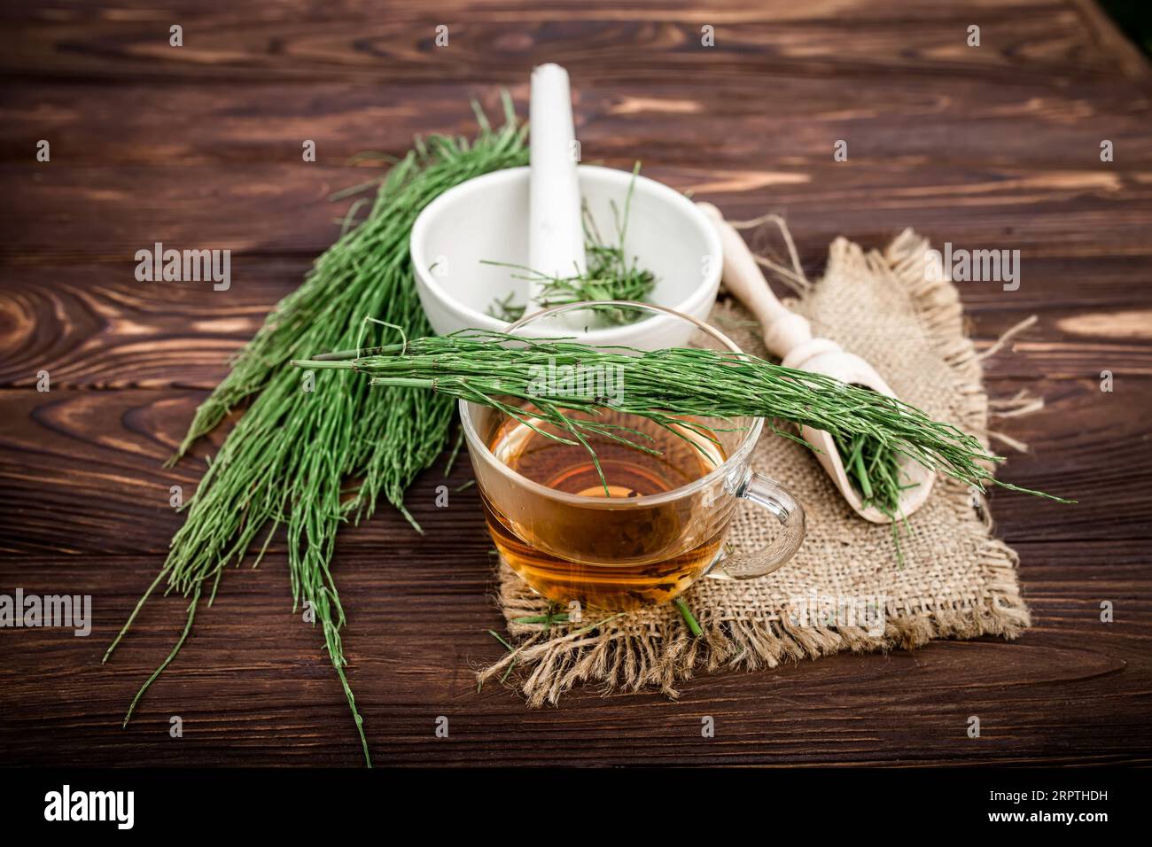 cup of tea from Equisetum, made from fresh potion, from pharmacy mortar ...