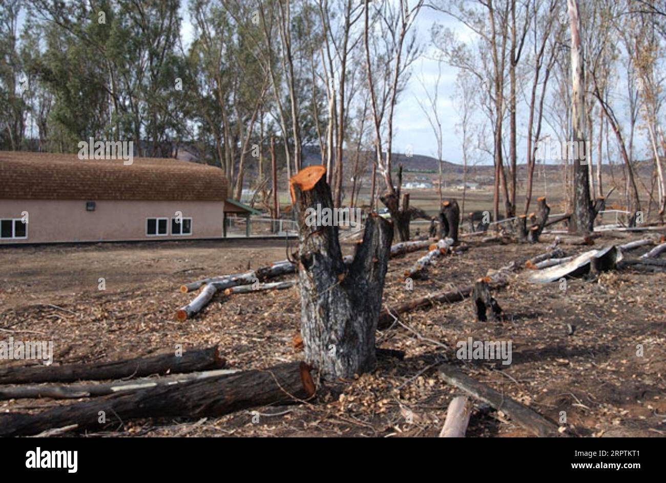 Damage wrought on land of the Barona Reservation, near Lakeside ...